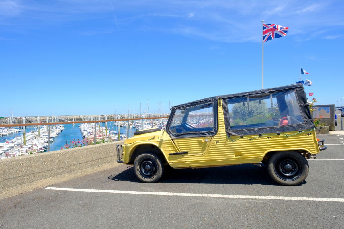 Voiture de légende : Citroën Méhari - Logo Voiture