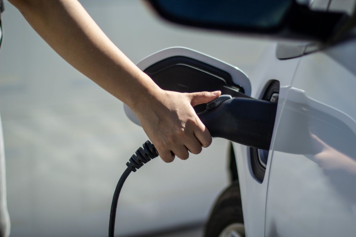 Cupra Born : tout savoir sur ce modèle de voiture électrique - Logo Voiture