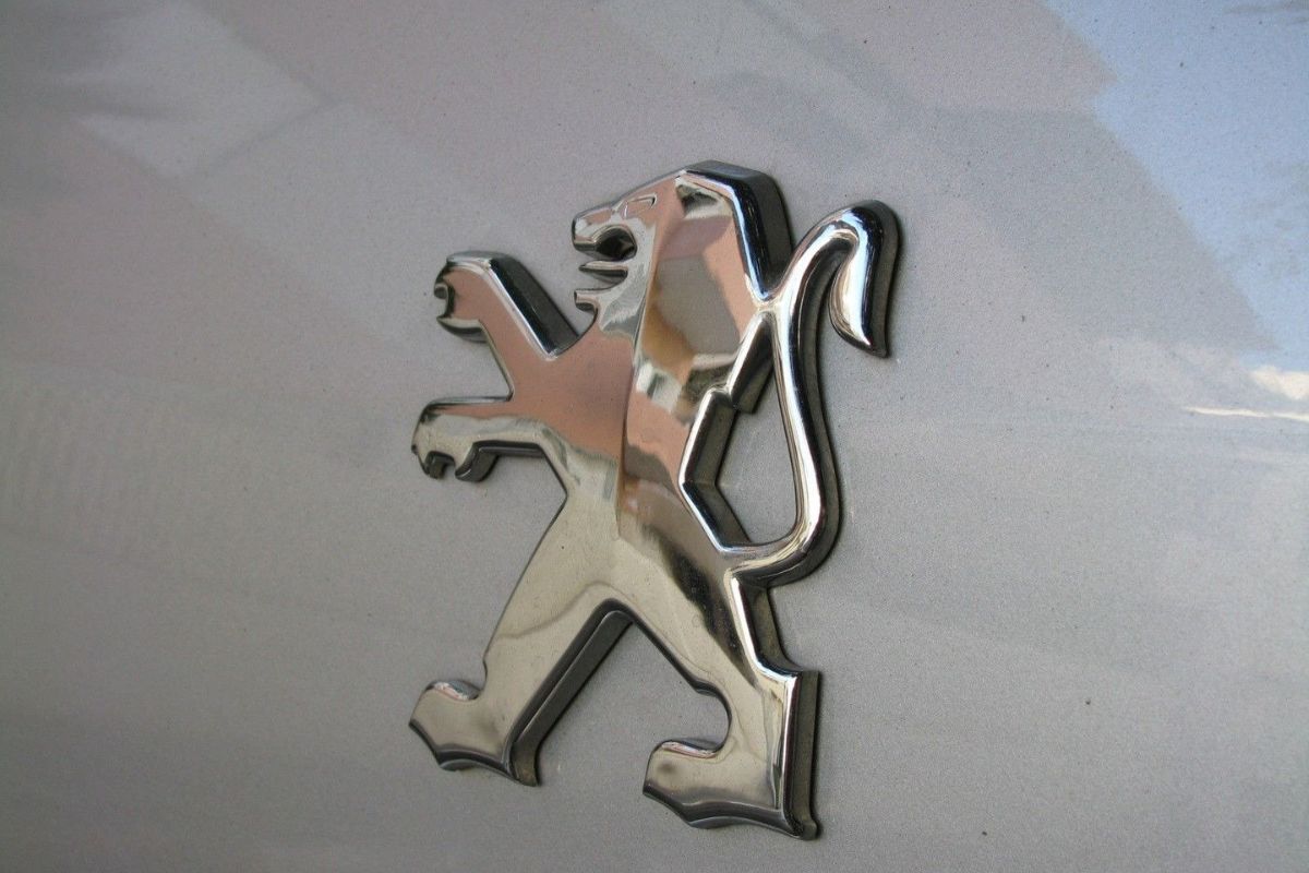 Tout savoir sur la Peugeot 206 : histoire, entretien, prix... - Logo ...